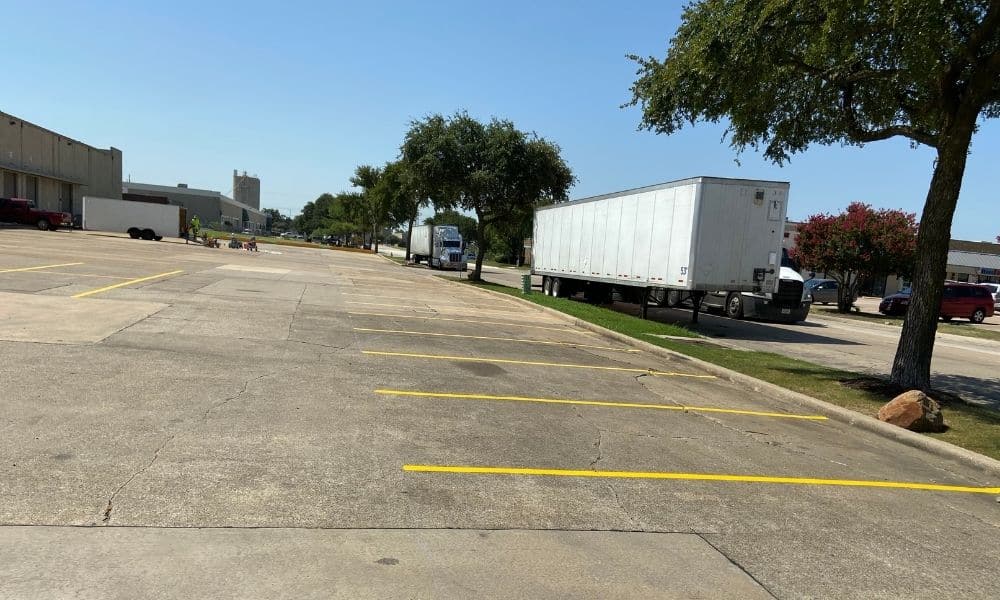 Tips for Choosing Shade Trees for Parking Lots
